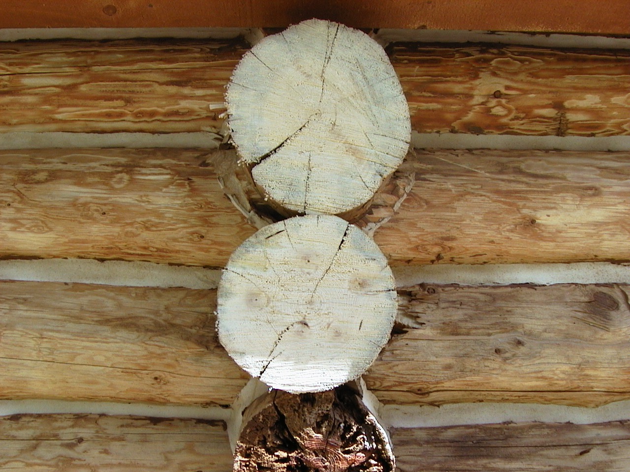 Log Restoration & Maintenance Program Colorado - Top Notch Logworks
