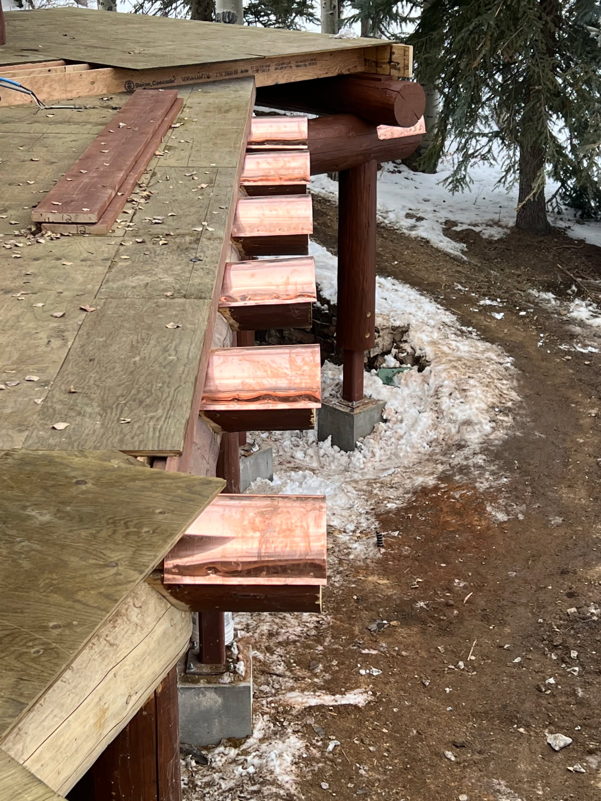 Log Rot Mitigation - Top Notch Logworks